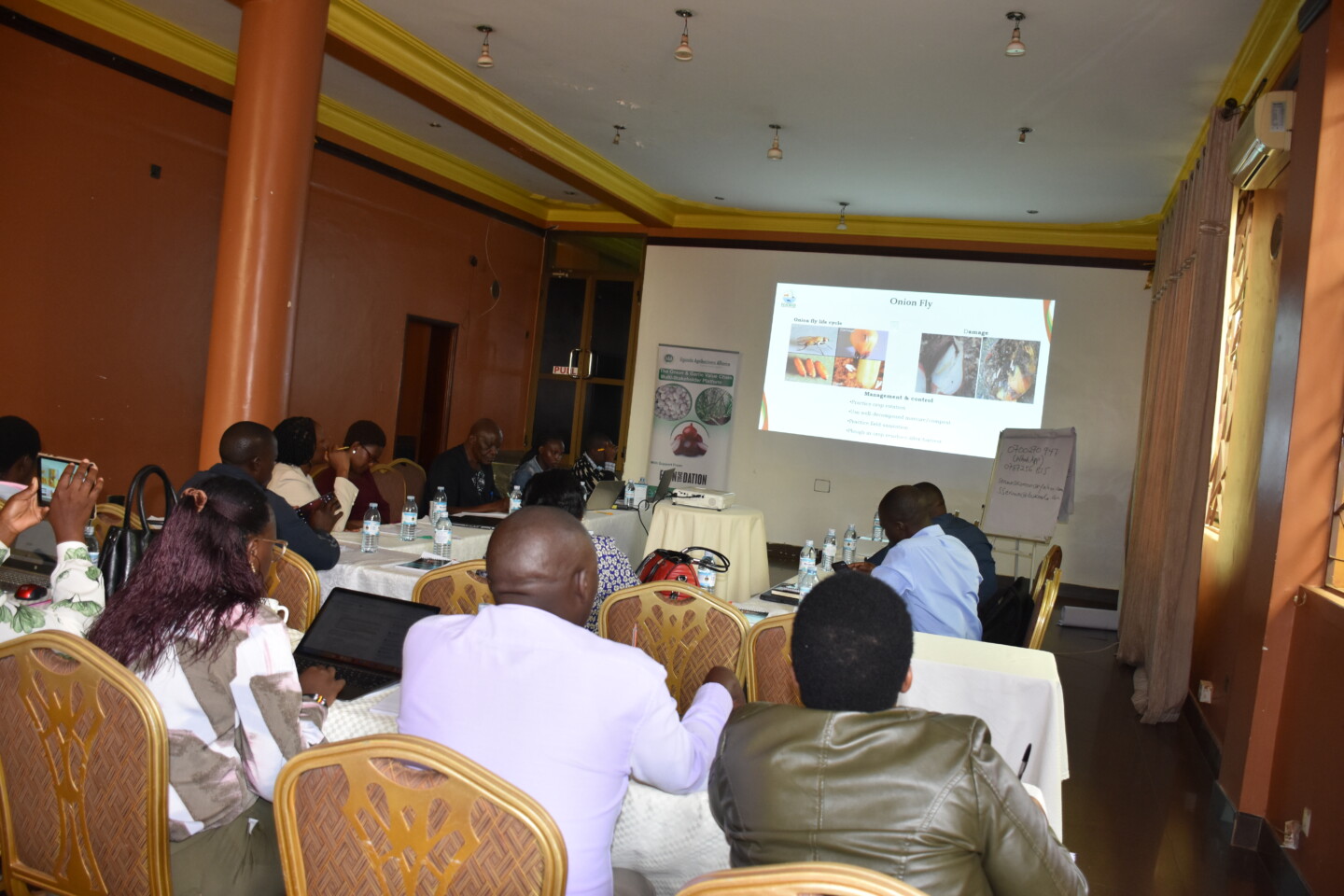 Programs & Initiatives - Uganda Agribusiness Alliance