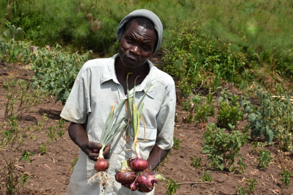 Value Chain Development - Uganda Agribusiness Alliance